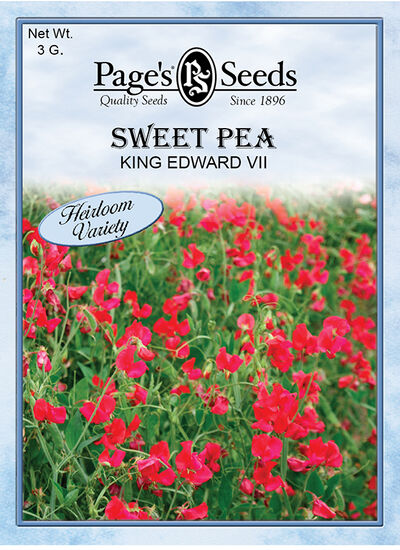 Sweet Pea King Edward VII - The Page Seed Company, Inc