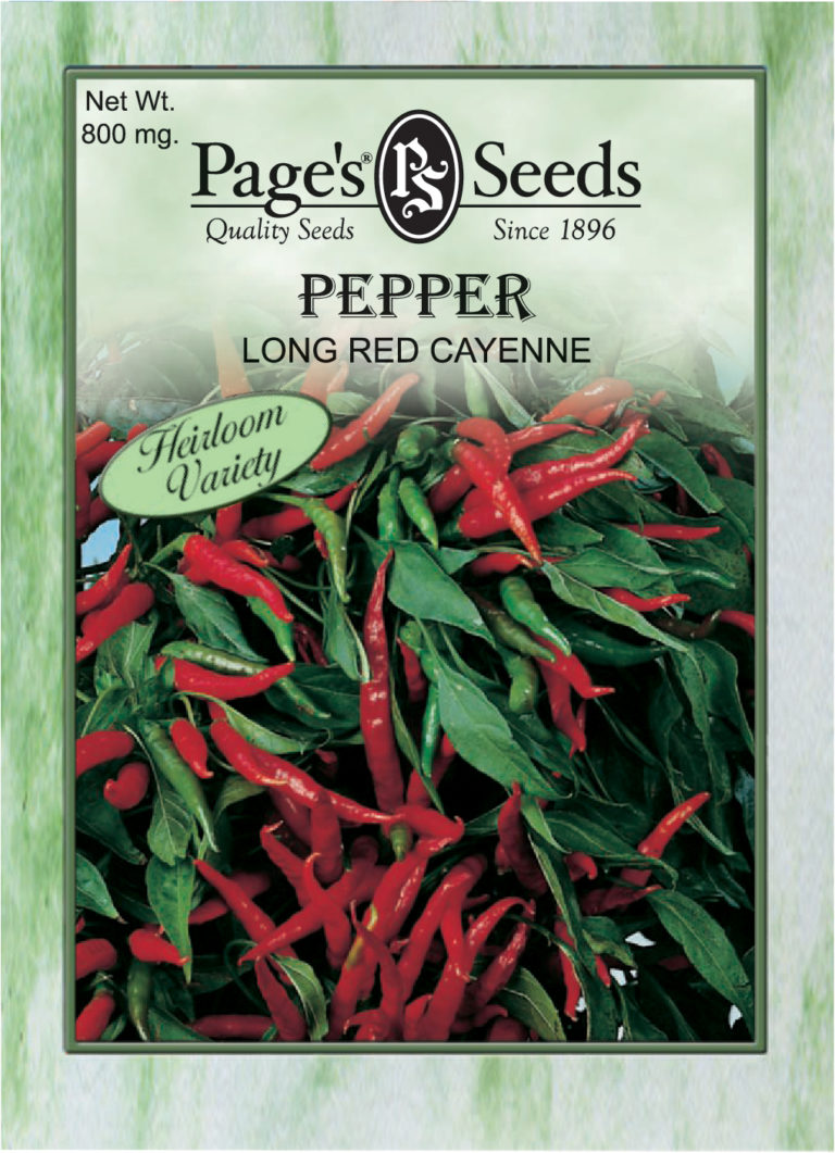 Pepper Long Red Cayenne | The Page Seed Company, Inc