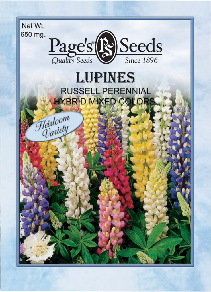 Lupins, Russell Perennial Hybrid | The Page Seed Company, Inc